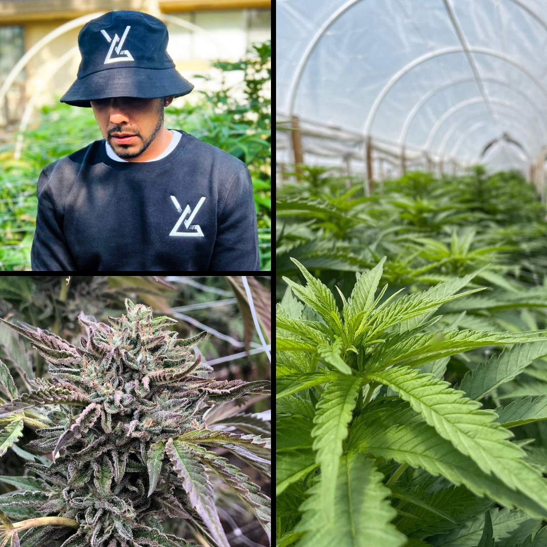 Farm Partners – Rosin Tech Labs